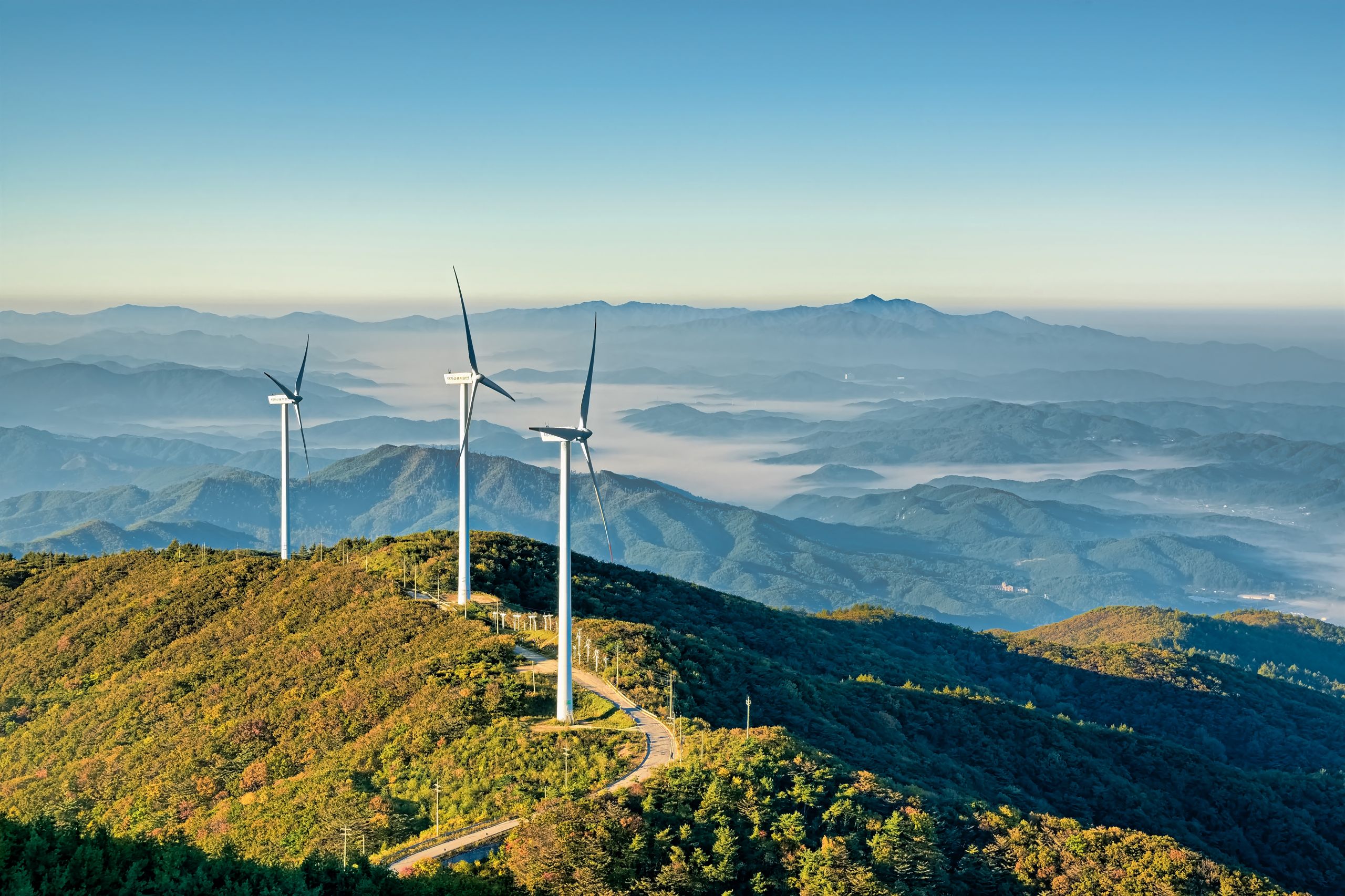 About wpd Philippines : wpd Philippines