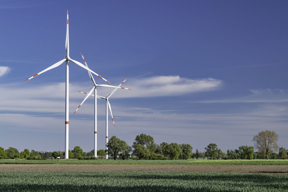 Frontpage : wpd Philippines